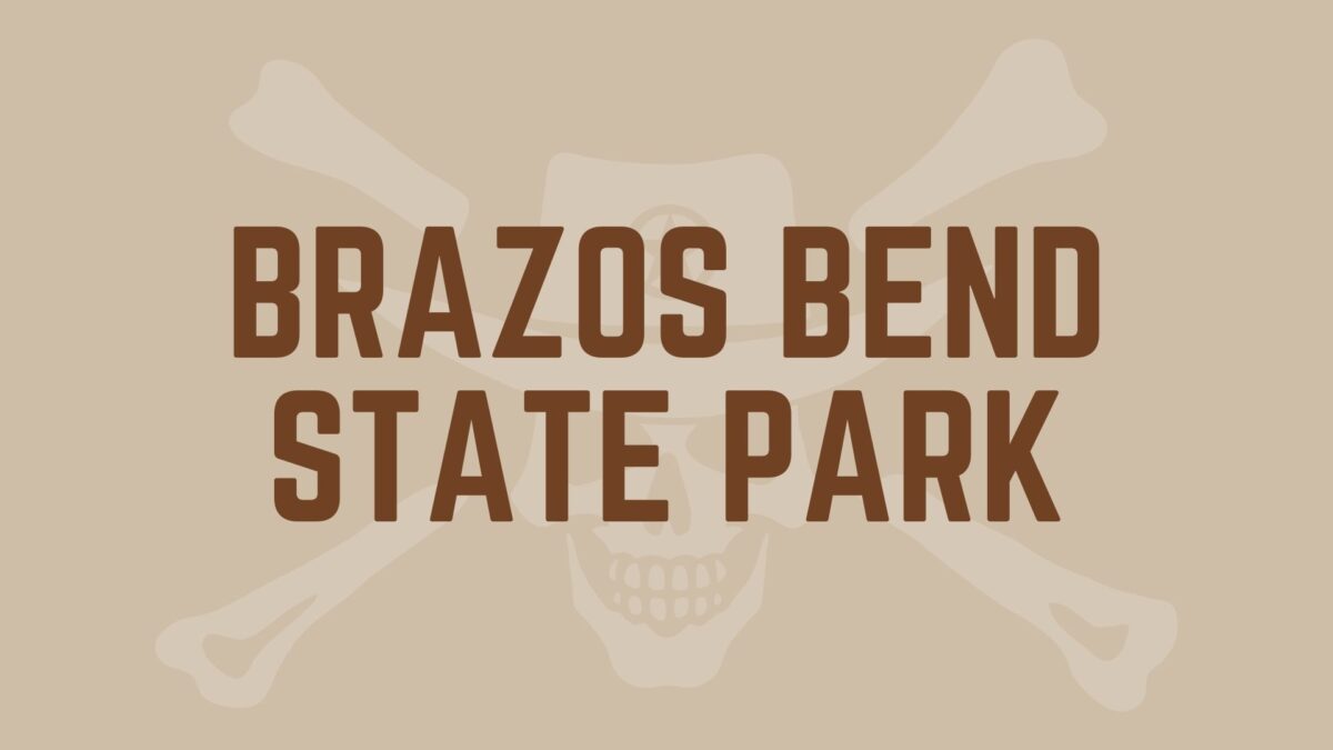 Discover Brazos Bend State Park in Texas